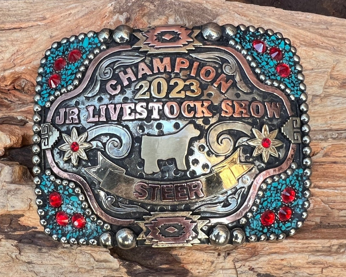 SW 108 – Shea Michelle Buckles